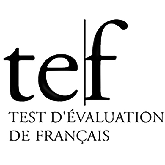 TEF Canada, TEFAQ exam preparation - TEFAQ Montreal by POINT3